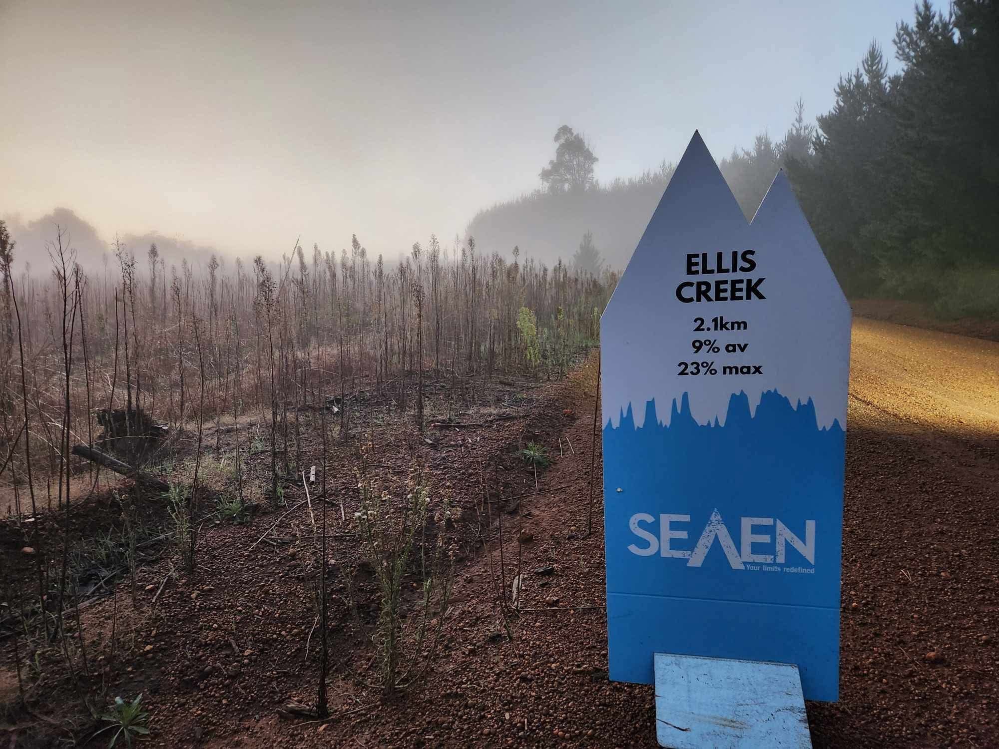 Seven (and Five) Training Program - FTP Training